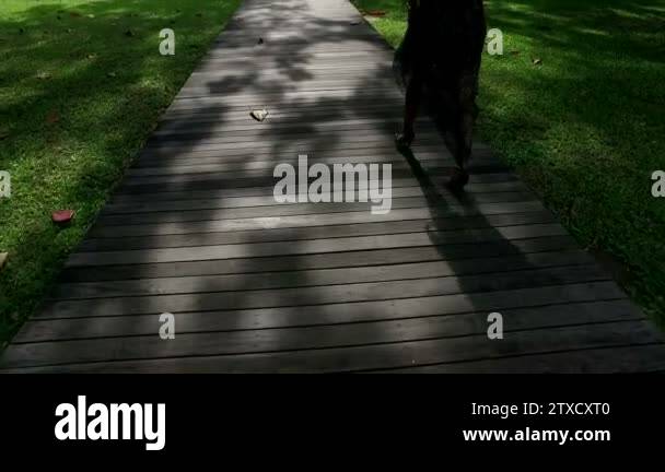 Camera tracking slow motion rear view the leg of women with swaying ...