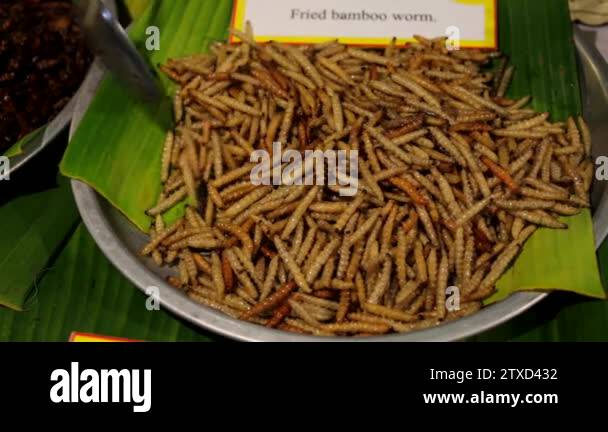 How to eat fried worms Stock Videos & Footage - HD and 4K Video Clips ...