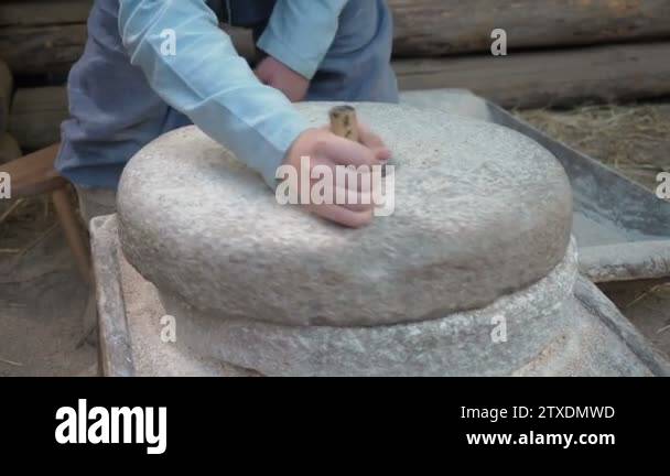 The ancient quern stone hand mill with grain. The man grinds the grain ...