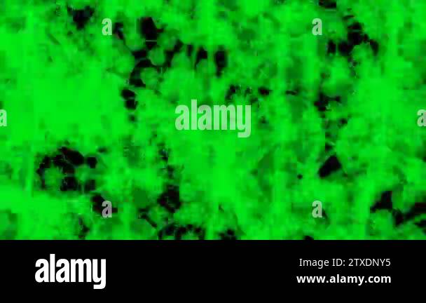 Green abstract animated background for music screensaver or for any other computer theme Stock ...