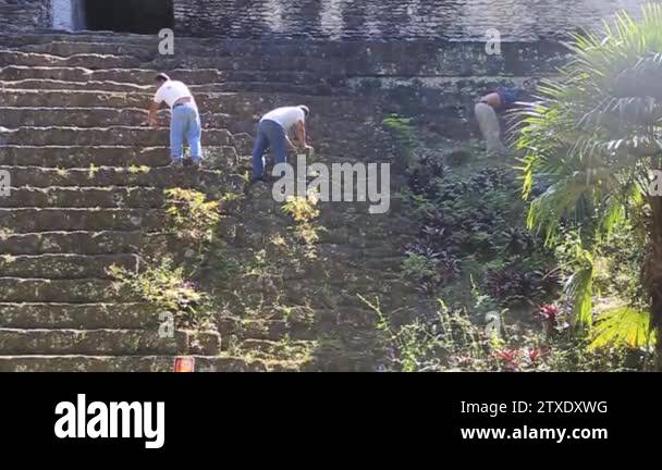 Mayan temple complex at tikal Stock Videos & Footage - HD and 4K Video ...