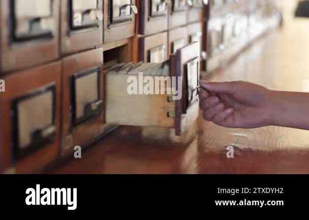 Student documentation Stock Videos & Footage - HD and 4K Video Clips ...