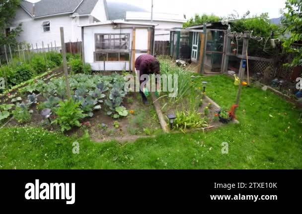 Young farmer gardening in backyard 4k Stock Video Footage - Alamy