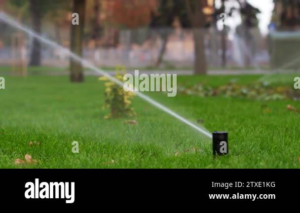 Garden irrigation sprinkler watering lawn in the park near walkway ...