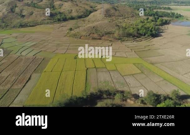Tropical landscape with farmer fields in the Philippines Stock Video ...