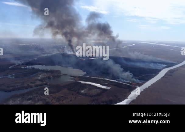 Wildfires on field, Uncontrolled spread of fire for land with smoke ...