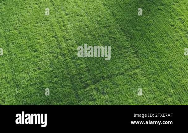 Stadium stadium overview stadium overview Stock Videos & Footage - HD ...