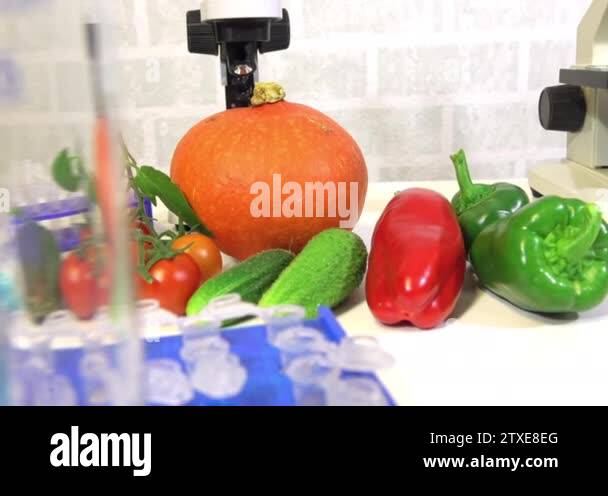 Laboratory Research . Chemical Laboratory of the Food supply . Food in ...