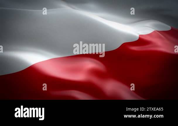 Poland flag video waving in wind. Realistic Polish Flag background ...