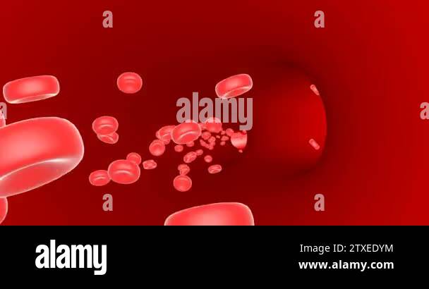 Red oval shape Stock Videos & Footage - HD and 4K Video Clips - Alamy