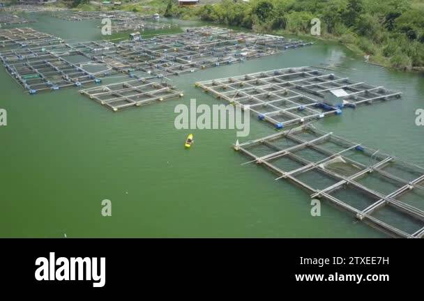 Fisherman cages Stock Videos & Footage - HD and 4K Video Clips - Alamy
