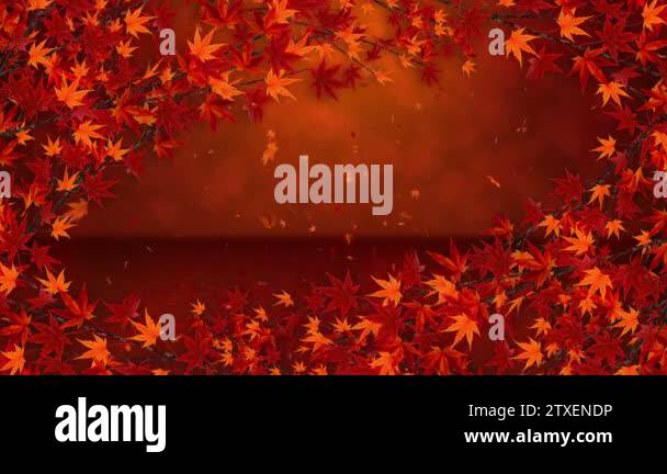 Branch with red leaves in falling. Traditional autumn leaf scenery of ...