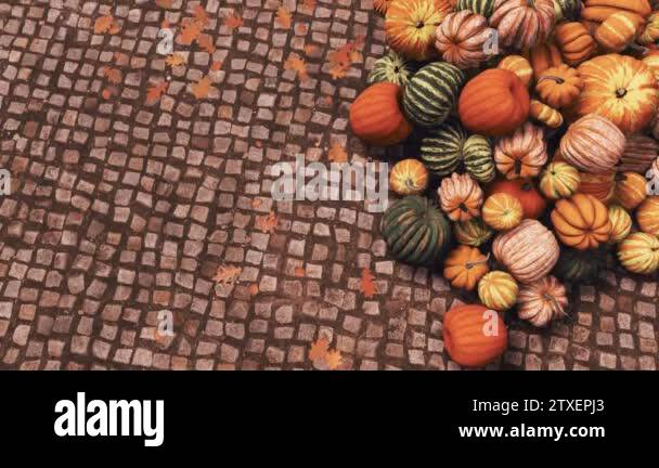 Pavement food crop Stock Videos & Footage - HD and 4K Video Clips - Alamy