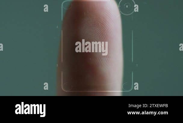 futuristic digital processing of biometric fingerprint scanner. concept ...