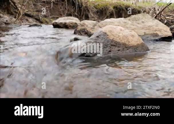 Camera is moving over clean fresh water of a forest stream running over ...