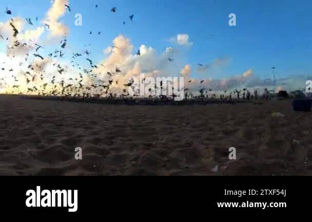 Chennai India marina beach GoPro hero 7 black 4K 60fps cinematic ...