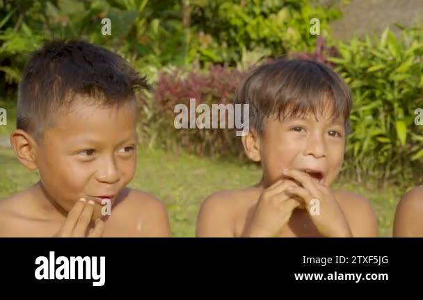 Indigenous Children Eating Sugarcane In The Jungle Stock Video Footage ...
