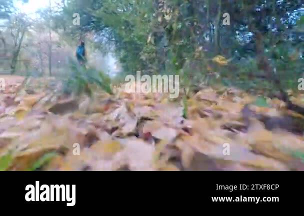 Persecution fear Stock Videos & Footage - HD and 4K Video Clips - Alamy