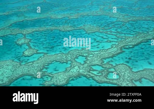 Coral queensland reef Stock Videos & Footage - HD and 4K Video Clips ...