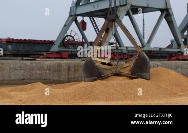 Grapple crane unloading and loading corn feed from truck in port ...
