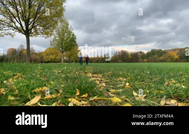 middle-aged man with a woman walks hands across the field into the ...