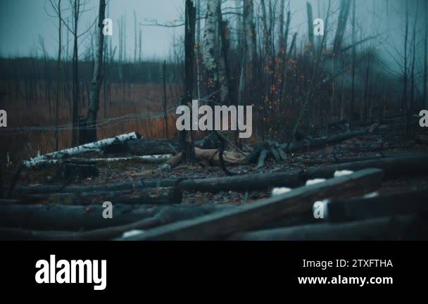 Body on forest ground Stock Videos & Footage - HD and 4K Video Clips ...