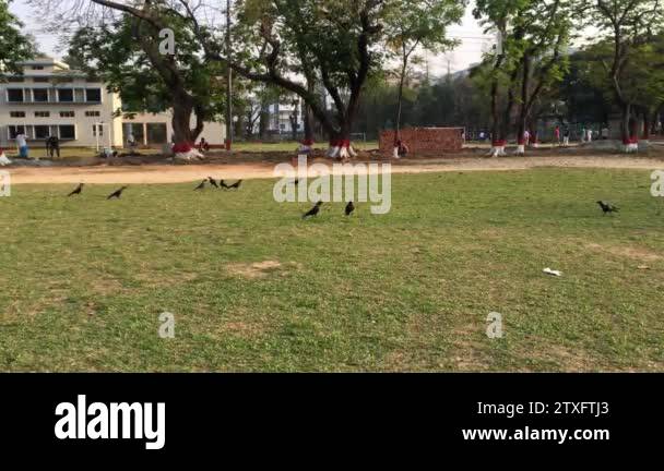 The campus of the Dhaka Residential Model College in Mohammadpur, Dhaka ...