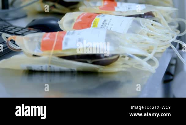 Laboratory technician scanning plasma bags with barcode scanner in ... Laboratory technician scanning plasma bags with barcode scanner in ...