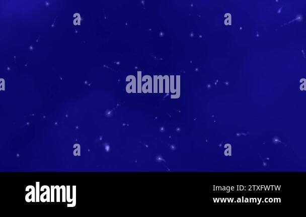Abstract animated blue background with moving stylized stars in a ...