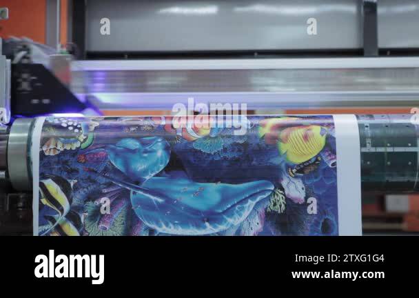 Film printer machine Stock Videos & Footage - HD and 4K Video Clips - Alamy