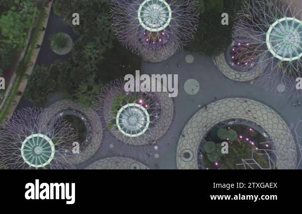 Aerial top view for Supertree grove in Gardens by Marina Bay Sands in ...