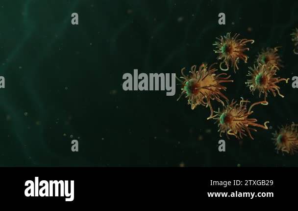 Bacteria cell micrograph Stock Videos & Footage - HD and 4K Video Clips - Alamy