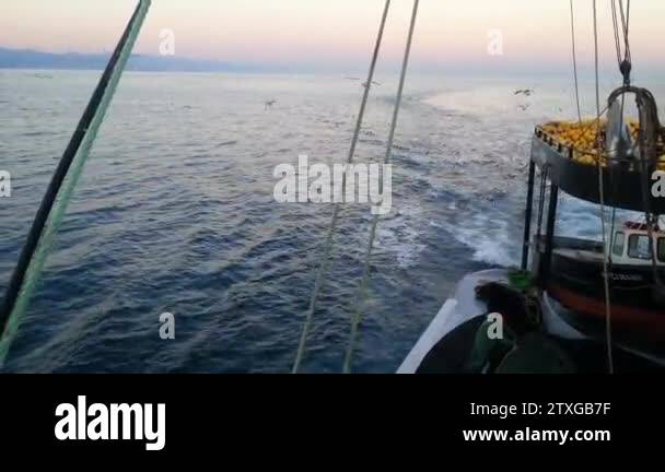 Anchovy trawler Stock Videos & Footage - HD and 4K Video Clips - Alamy