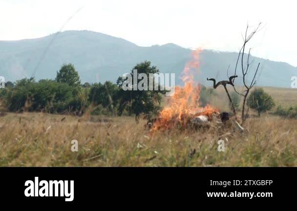 Corpse morgue burn Stock Videos & Footage - HD and 4K Video Clips - Alamy