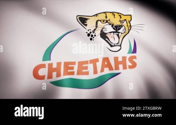 Cheetahs rugby Stock Videos & Footage - HD and 4K Video Clips - Alamy