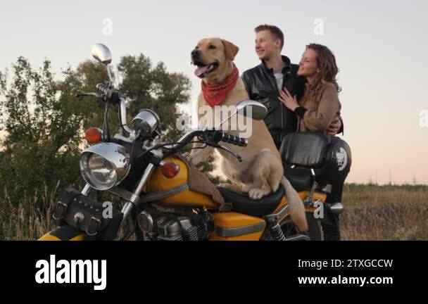 Hugging on motorcycle Stock Videos & Footage - HD and 4K Video Clips ...