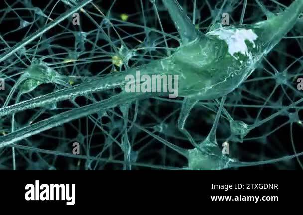Journey through a network of neuronal cells and synapses in the brain ...