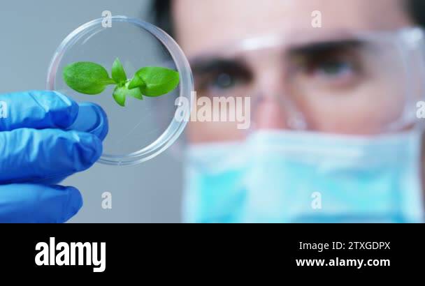 biometric of a scientist with futuristic graphics and holography with ...