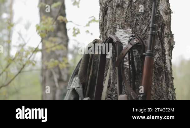 Tree world war ii Stock Videos & Footage - HD and 4K Video Clips - Alamy