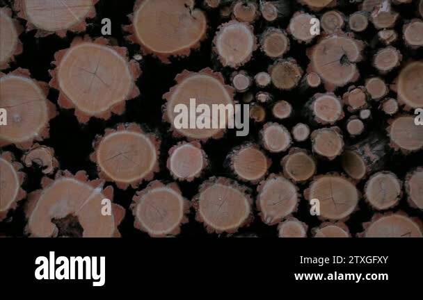 Log logging logging forest Stock Videos & Footage - HD and 4K Video ...