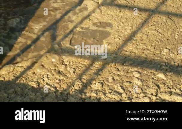 Biological purification of water sewage treatment plant waste water ...