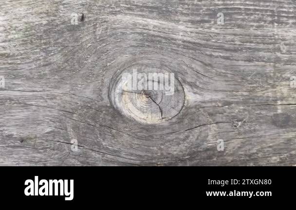 Old flat wood texture Stock Videos & Footage - HD and 4K Video Clips ...