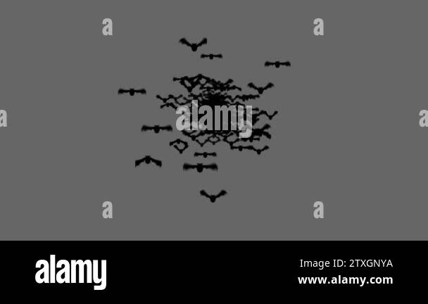 Scary bat animation for halloween on alpha transparent background Stock ...