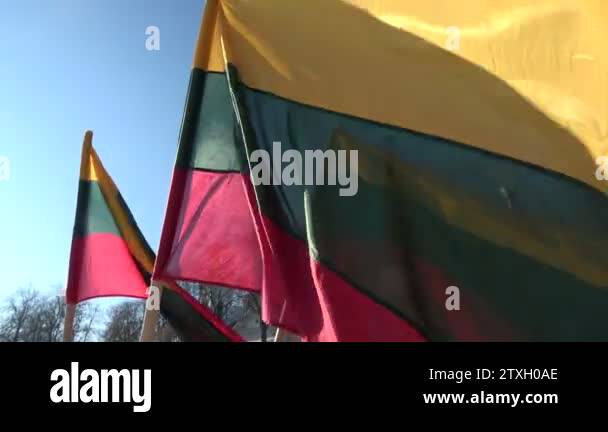 Lithuanian national flags in wind on sky background Stock Video Footage ...