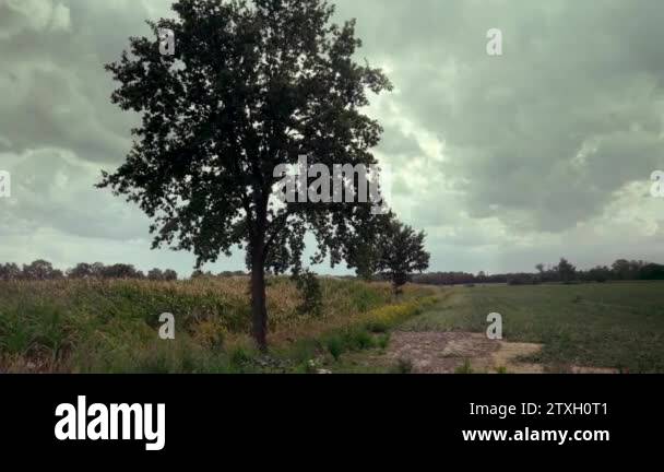 Total life cycle Stock Videos & Footage - HD and 4K Video Clips - Alamy