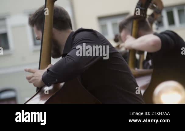 Contrabass double bass Stock Videos & Footage - HD and 4K Video Clips ...