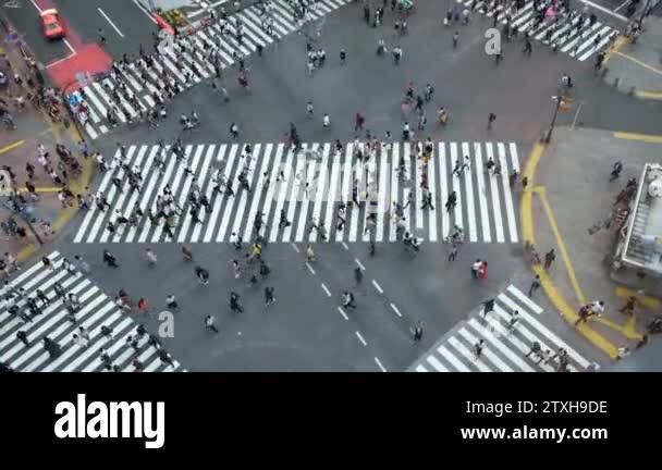 Shibuya, Tokyo, Japan - Aerial view of pedestrians walk at Shibuya ...