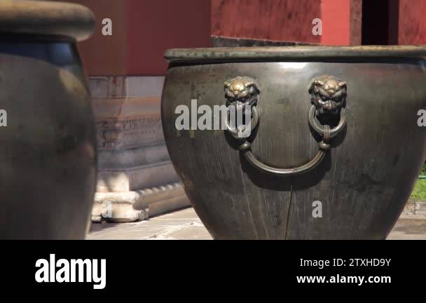 Lion bowl Stock Videos & Footage - HD and 4K Video Clips - Alamy