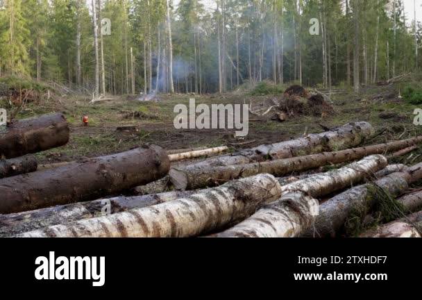 Industrial conservation Stock Videos & Footage - HD and 4K Video Clips ...