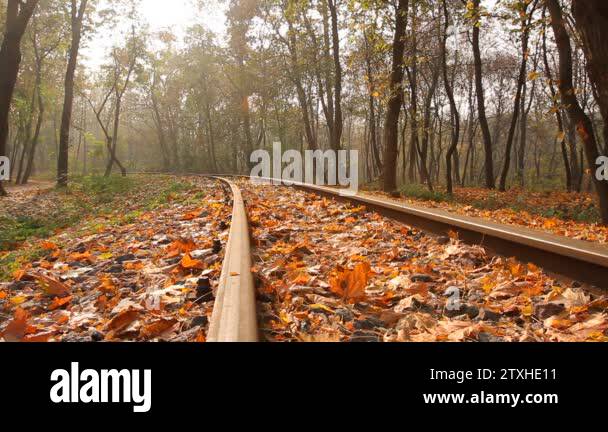 autumn, camera movement across the rail from left to right, low angle ...